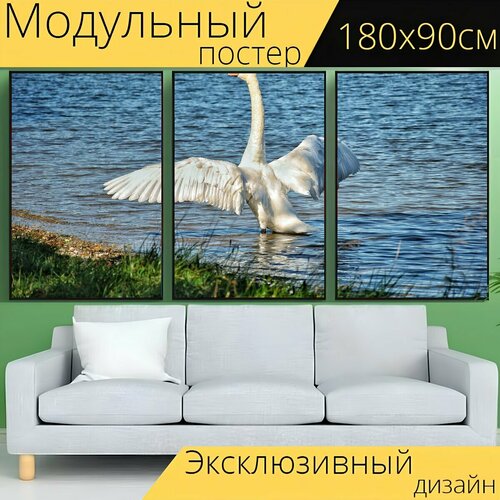 Модульный постер "Лебедь, птица, озеро" 180 x 90 см. для интерьера