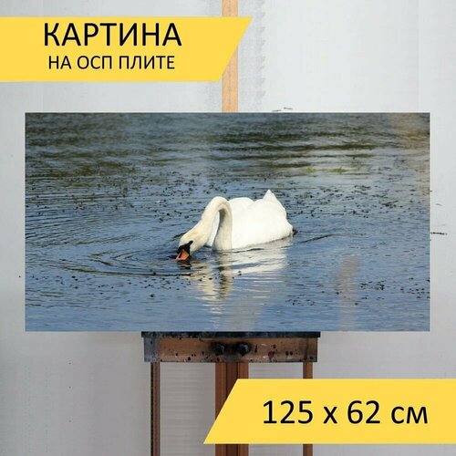 Картина на ОСП 125х62 см. "Лебедь, вода, природа" горизонтальная, для интерьера, с креплениями