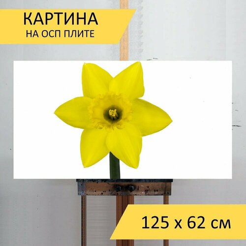 Картина на ОСП 125х62 см. "Нарцисс, цветок, жёлтый" горизонтальная, для интерьера, с креплениями