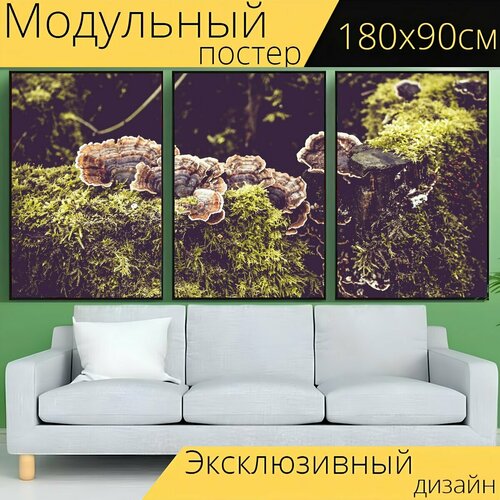 Модульный постер "Дикий, гриб, лес" 180 x 90 см. для интерьера