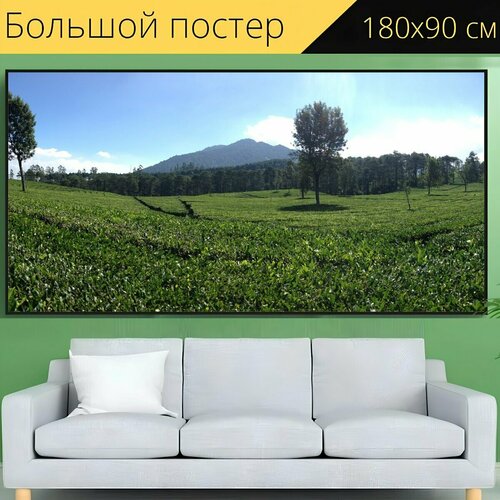 Большой постер "Панорамная чайная плантация, бандунг, индонезия" 180 x 90 см. для интерьера