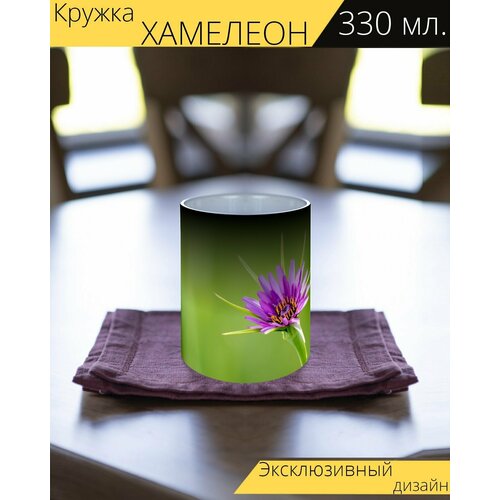 Кружка хамелеон с принтом "Козлобородник цветок, цветок, завод" 330 мл.