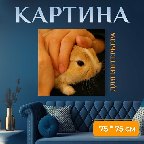 Картина на холсте "Кролик, рука, мило" на подрамнике 75х75 см. для интерьера