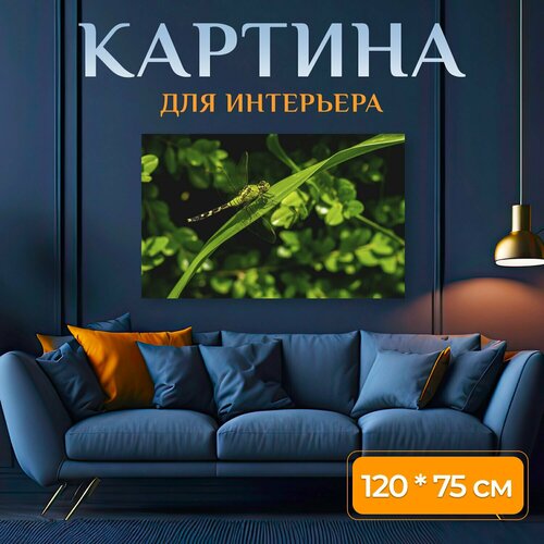 Картина на холсте "Природа, лист, флора" на подрамнике 120х75 см. для интерьера