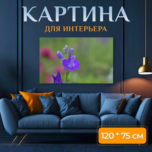 Картина на холсте "Польские цветы, сад, природа" на подрамнике 120х75 см. для интерьера