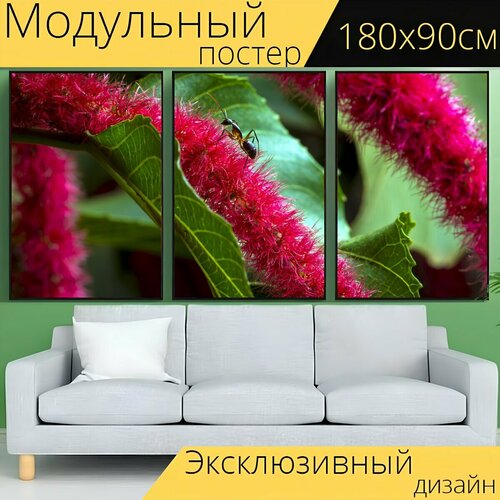 Модульный постер "Сахар ант, красный цветок, сад" 180 x 90 см. для интерьера