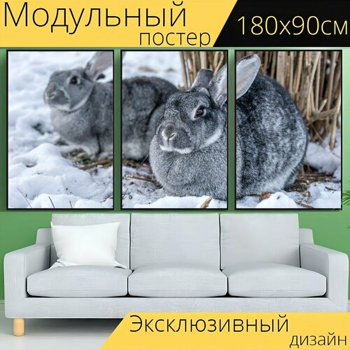 Модульный постер "Кролики, кролик шиншилла, снег" 180 x 90 см. для интерьера