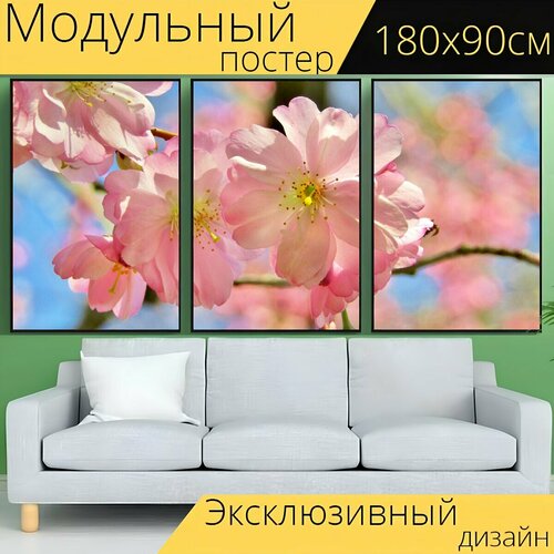 Модульный постер "Декоративная вишня, японская вишня, весна" 180 x 90 см. для интерьера