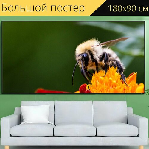 Большой постер "Пчела, природа, насекомое" 180 x 90 см. для интерьера