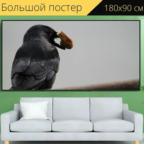 Большой постер "Ворона, обыкновенный ворон, перья" 180 x 90 см. для интерьера
