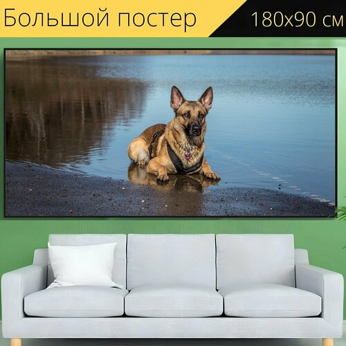 Большой постер "Озеро, вода, собака" 180 x 90 см. для интерьера