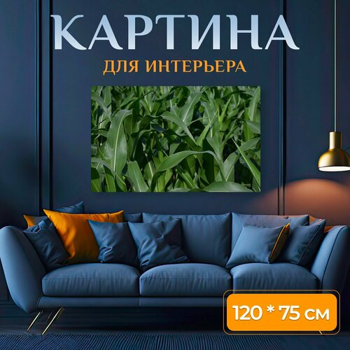 Картина на холсте "Кукуруза, кукурузное поле, кукурузные листья" на подрамнике 120х75 см. для интерьера