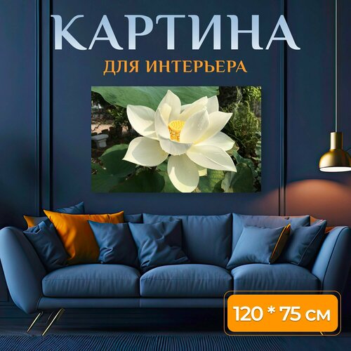 Картина на холсте "Лотос, белый, цветок" на подрамнике 120х75 см. для интерьера