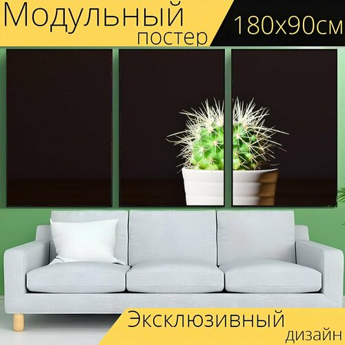 Модульный постер "Кактус, горшок для растений, кактусы" 180 x 90 см. для интерьера