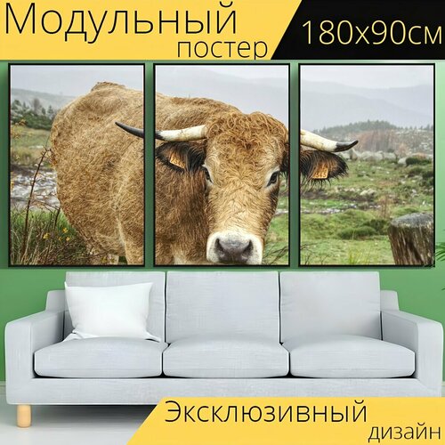 Модульный постер "Корова, поле, сельское хозяйство" 180 x 90 см. для интерьера