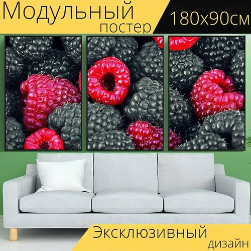 Модульный постер "Малина, фрукты, ягода" 180 x 90 см. для интерьера