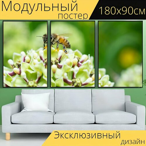 Модульный постер "Пчела, цветы, техас" 180 x 90 см. для интерьера