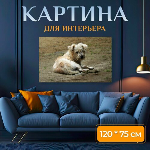Картина на холсте "Собака, животное, внутренние" на подрамнике 120х75 см. для интерьера