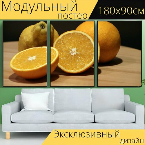 Модульный постер "Апельсины, лимон, фрукты" 180 x 90 см. для интерьера