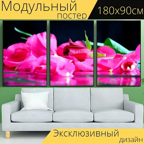 Модульный постер "Цветы, цветочный фон, роза" 180 x 90 см. для интерьера