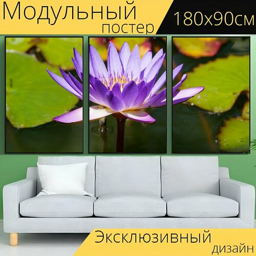 Модульный постер "Природа, цветок, водяная лилия" 180 x 90 см. для интерьера