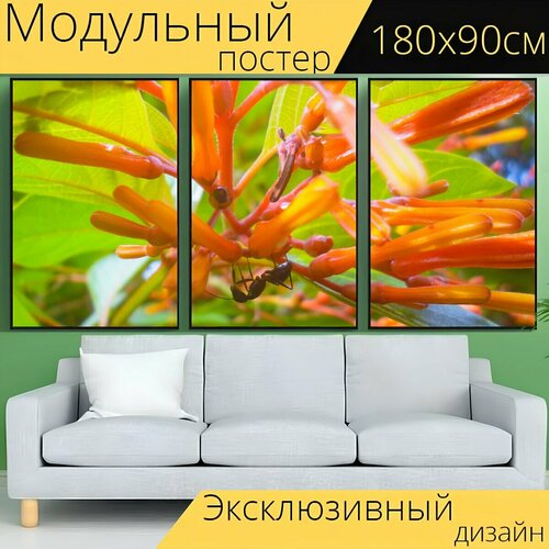 Модульный постер "Муравей, листья, природа" 180 x 90 см. для интерьера