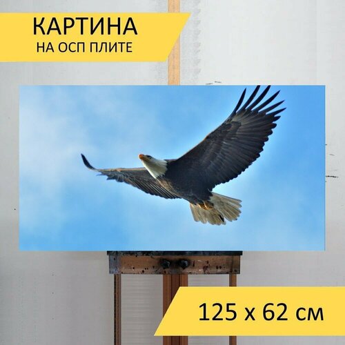 Картина на ОСП 125х62 см. "Американский белоголовый орлан, птица, природа" горизонтальная, для интерьера, с креплениями