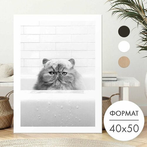 Плакат Постер 40х50 без рамки "Кот в ванной" для интерьера