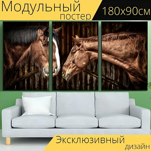 Модульный постер "Лошади, дружба, конюшня" 180 x 90 см. для интерьера