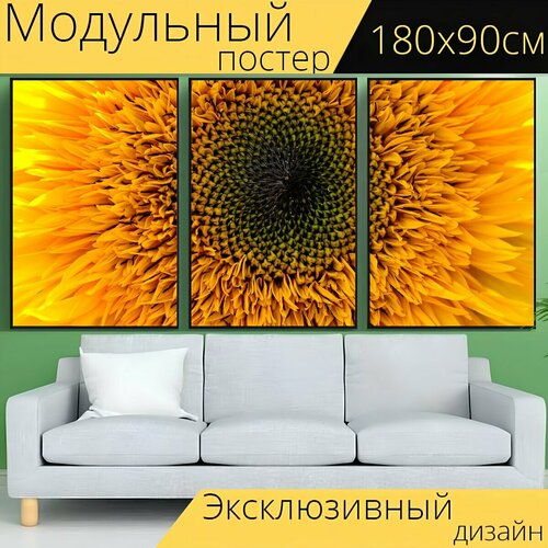 Модульный постер "Подсолнух, желтый, летом" 180 x 90 см. для интерьера