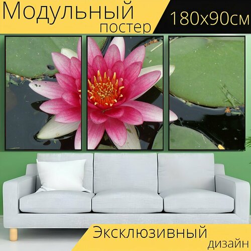 Модульный постер "Водяная лилия, бермуды, розовый цветок" 180 x 90 см. для интерьера