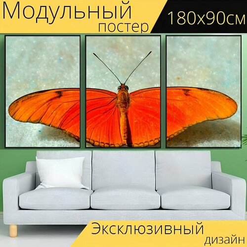 Модульный постер "Бабочка, апельсин, яркий" 180 x 90 см. для интерьера