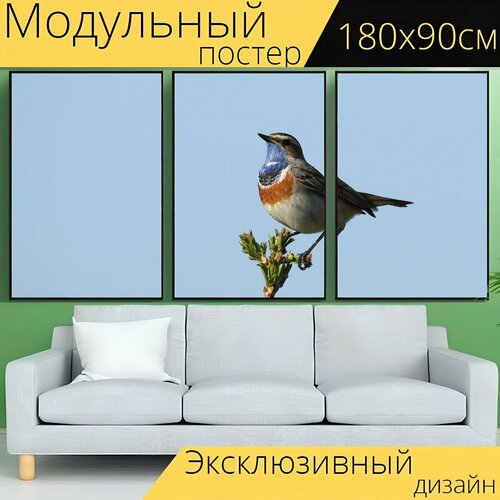 Модульный постер "Варакушка, птица, филиал" 180 x 90 см. для интерьера