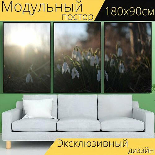 Модульный постер "Подснежники, весна, солнце" 180 x 90 см. для интерьера