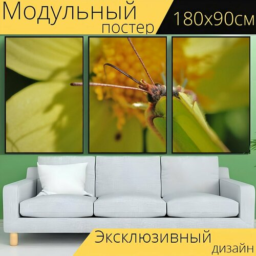 Модульный постер "Бабочка, желтый, датчик" 180 x 90 см. для интерьера