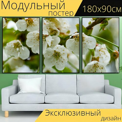 Модульный постер "Весна, цветок, вишня" 180 x 90 см. для интерьера