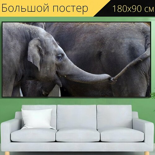 Большой постер "Слон, молодой, детеныш" 180 x 90 см. для интерьера