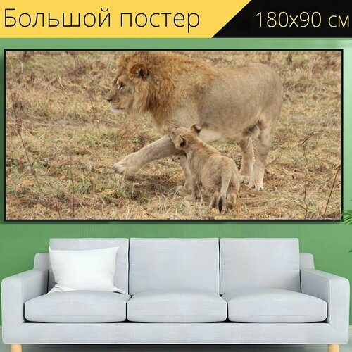Большой постер "Лев, львенок, молодой лев" 180 x 90 см. для интерьера
