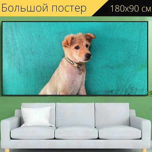 Большой постер "Собака, щенок, собачий" 180 x 90 см. для интерьера