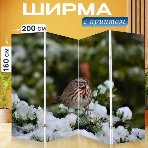 Ширма перегородка с принтом "Птица, зяблик, природа" на холсте - 200x160 см. для зонирования, раскладная