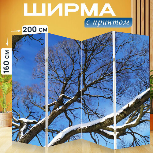 Ширма перегородка с принтом "Дерево, небо, зима" на холсте - 200x160 см. для зонирования, раскладная