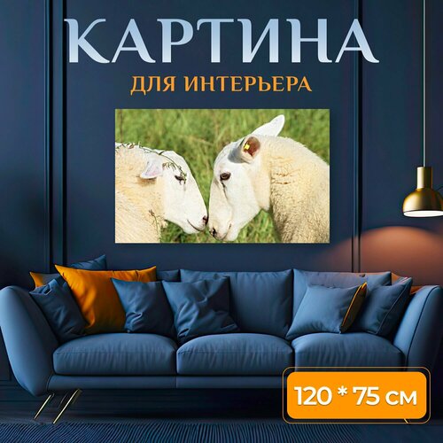 Картина на холсте "Овец, две овцы, любовь" на подрамнике 120х75 см. для интерьера