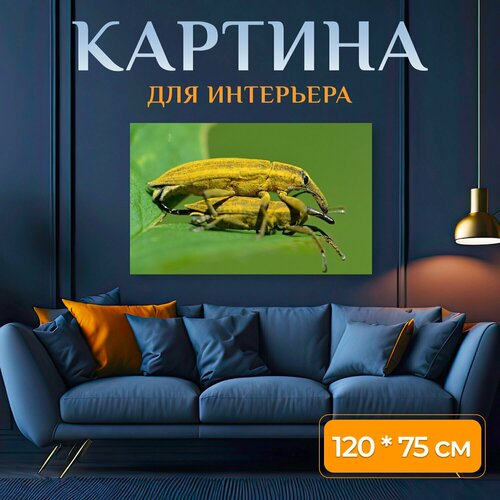 Картина на холсте "Жуки, ошибки, насекомые" на подрамнике 120х75 см. для интерьера