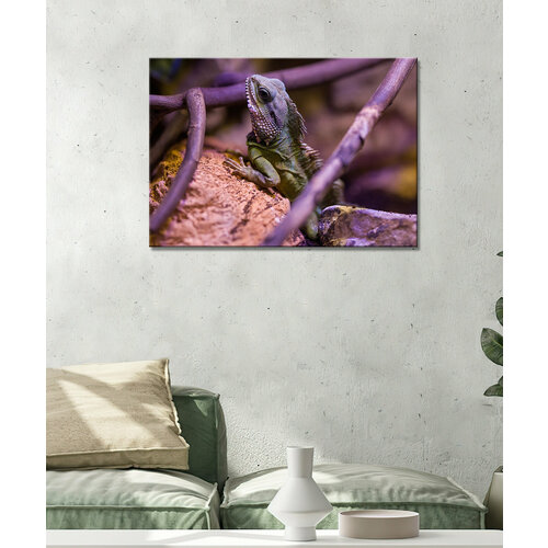 Картина -Игуана, зеленая игуана, ящерица (20) 50х70