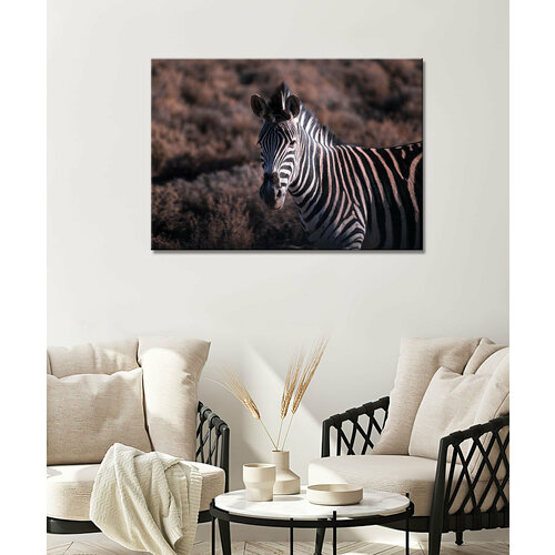 Картина - Зебра, полосатая зебра, красивая зебра, зебра в Африке (1) 20х30