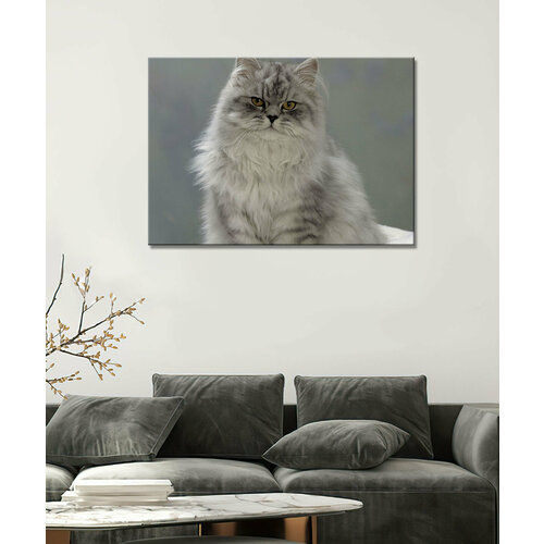 Картина - кошка, персидская кошка, домашняя кошка, ласковая кошка, кот (302) 60х80