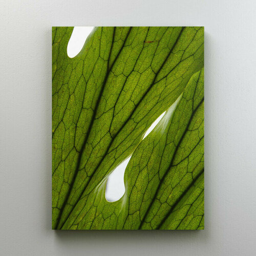 Интерьерная картина на холсте "Текстура листьев", размер 22x30 см
