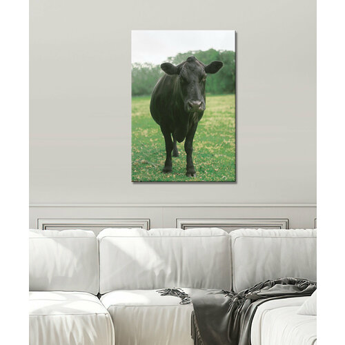 Картина -Корова, пастбище, корова пасется, корова на пастбище, бык (14) 20х30