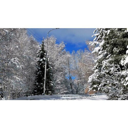 Картина на холсте 60x110 Альянс Лес "Природа небо зима" на подрамнике / интерьер/ декор