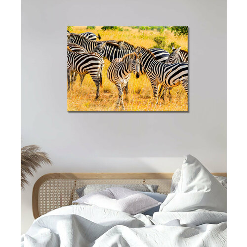 Картина - Зебры, полосатая зебра, красивая зебра, зебры в саванне (43) 30х40